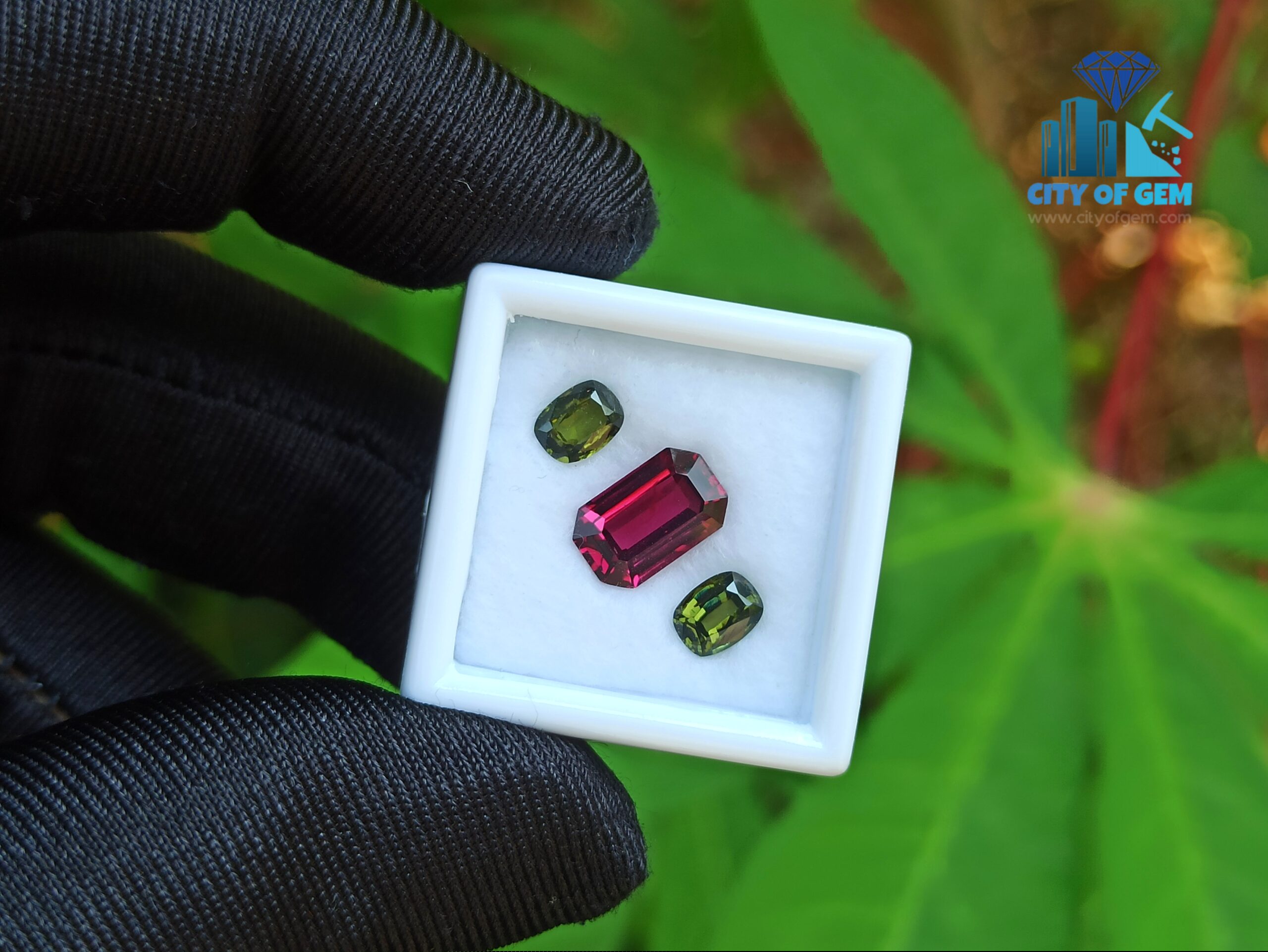 Ceylon Natural Rhdolite Garnet & Green Zircon Gemstones for Jewelry Design