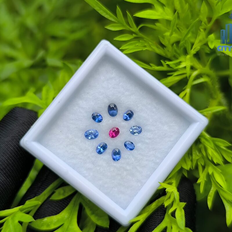 Ceylon Natural Ruby & Blue Sapphires Collection for Jewelry Designs