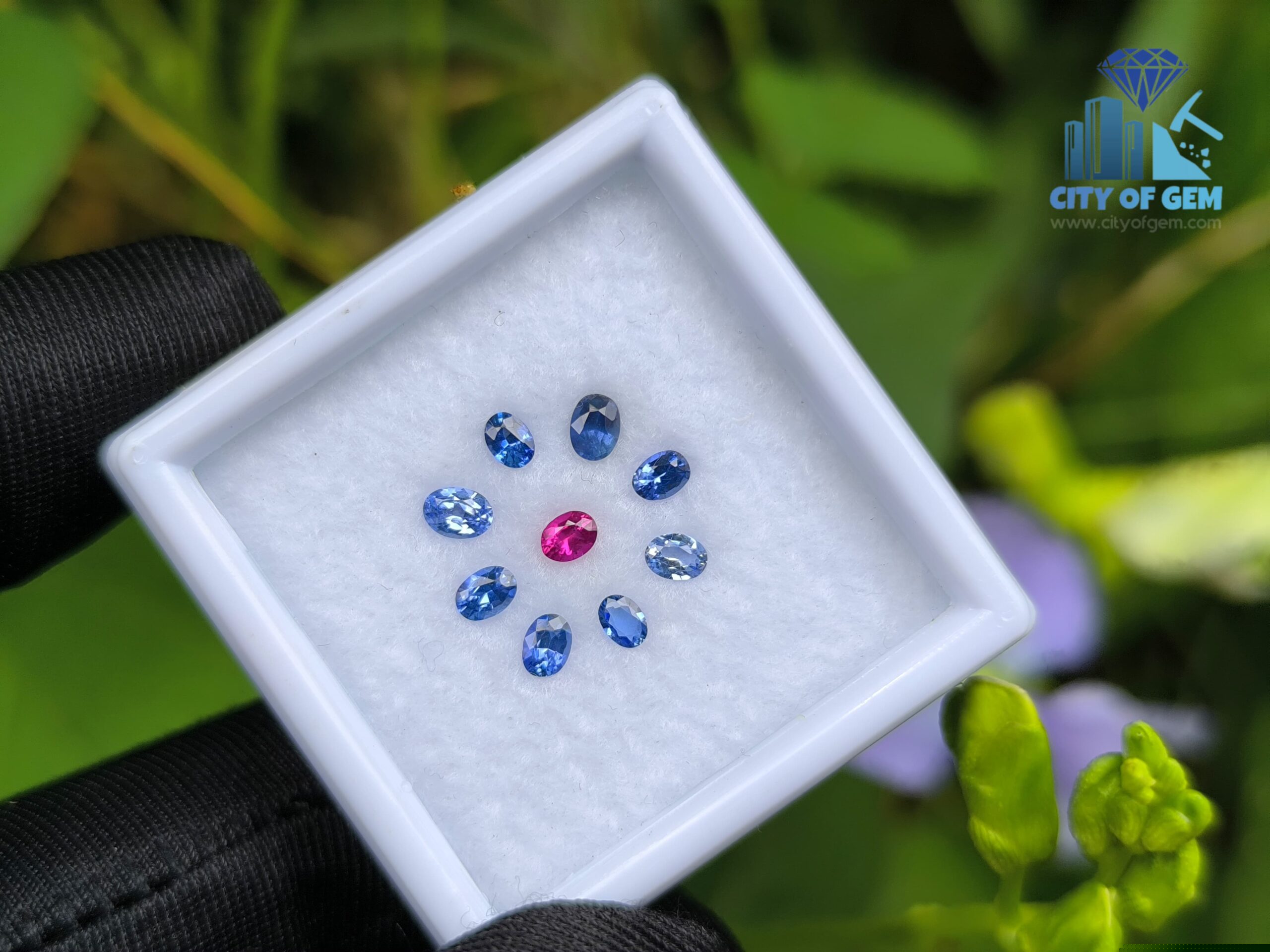 Ceylon Natural Ruby & Blue Sapphires Collection for Jewelry Designs