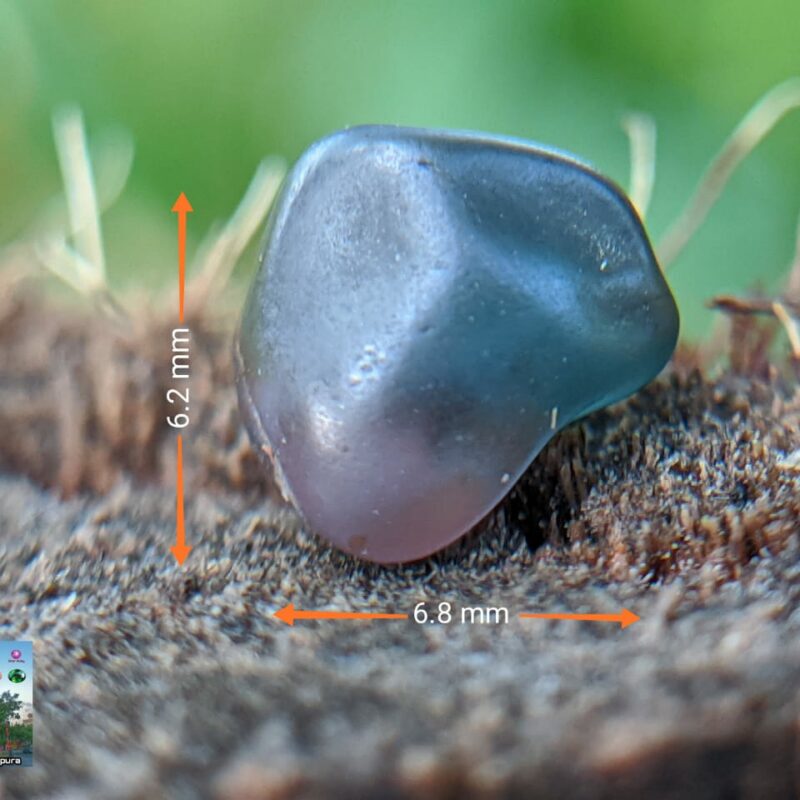 CEYLON NATURAL BI-COLOUR AND BLUE SPINEL ROUGH GEMSTONES