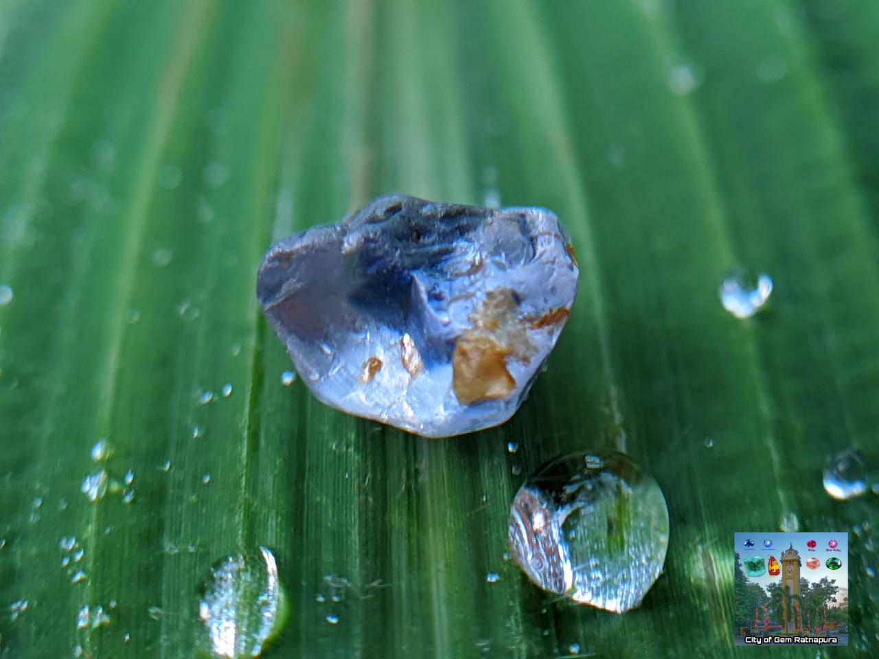 Ceylon Natural Sapphire Trilliant Cut Faceted Stone Collection