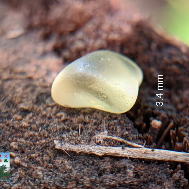 CEYLON NATURAL CHRYSOBERL ROUGH GEMSTONE