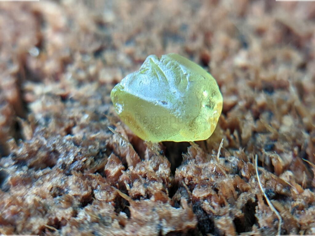 CEYLON NATURAL CHRYSOBERL ROUGH GEMSTONE