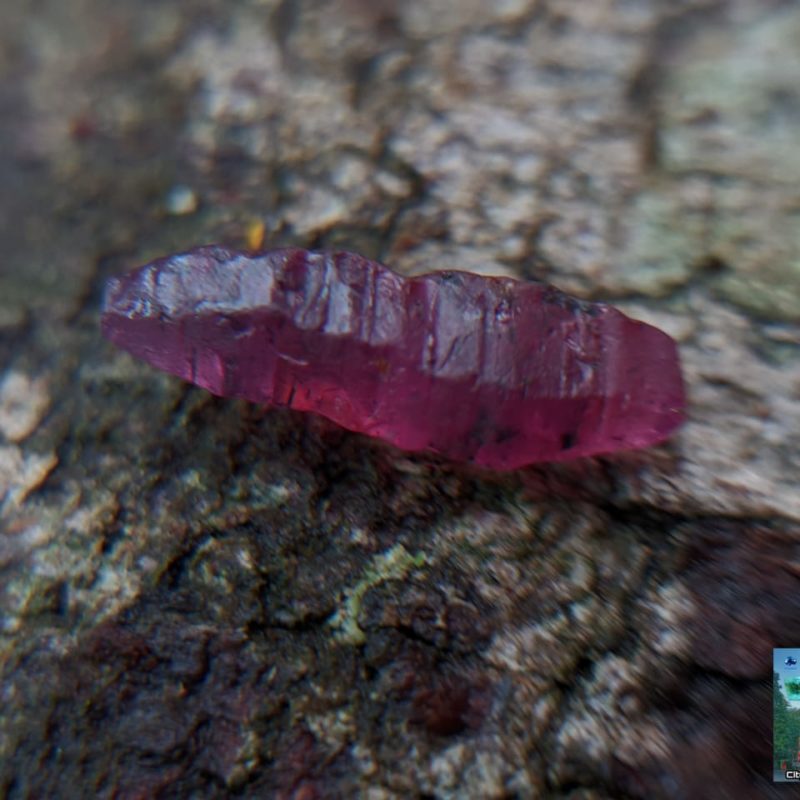 CEYLON NATURAL RARE RUBY CRYSTAL "SRI LANKAN RUBY"