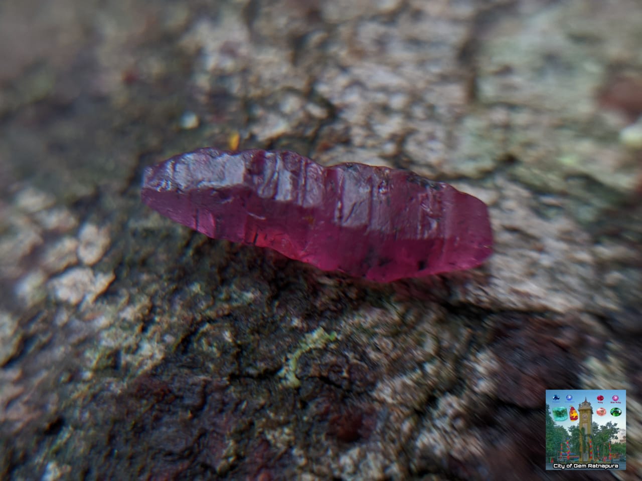 CEYLON NATURAL RARE RUBY CRYSTAL "SRI LANKAN RUBY"