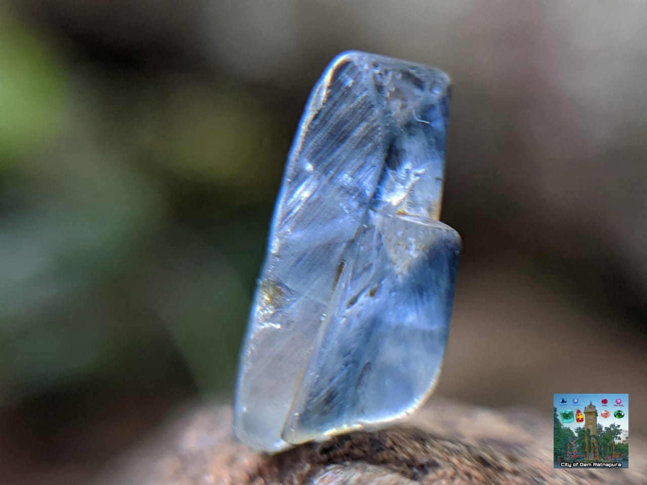 Ceylon Natural Heating Sapphire "ottu" Twin Crystal with Special ...