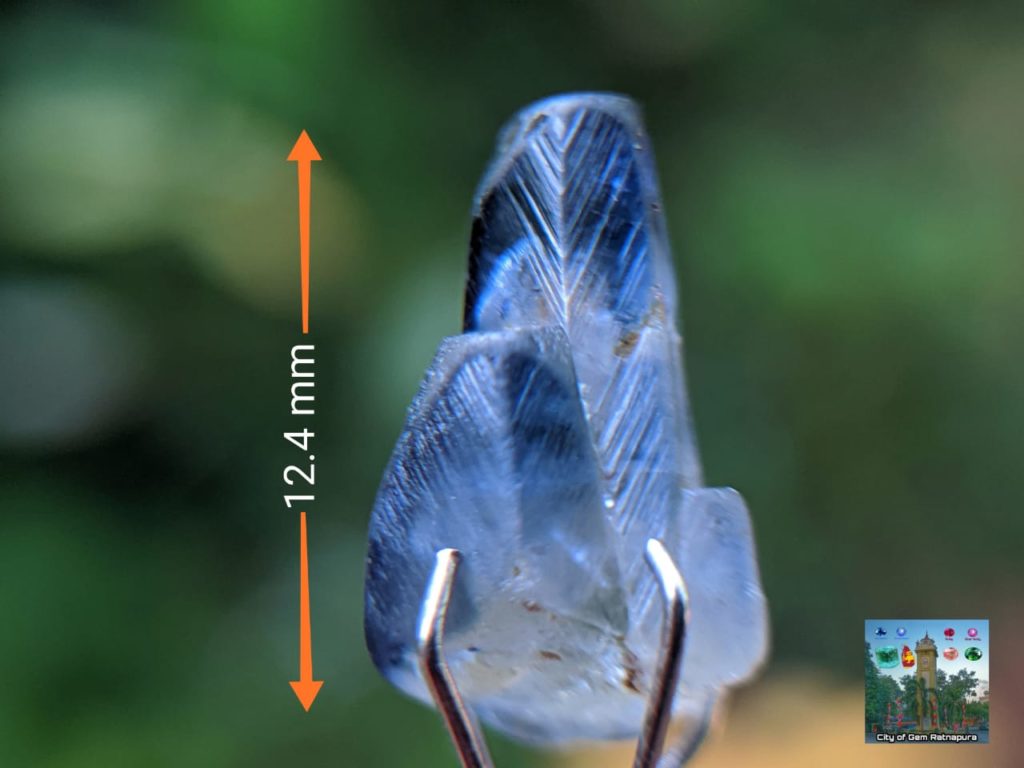 Ceylon Natural Heating Sapphire "ottu" Twin Crystal with Special ...