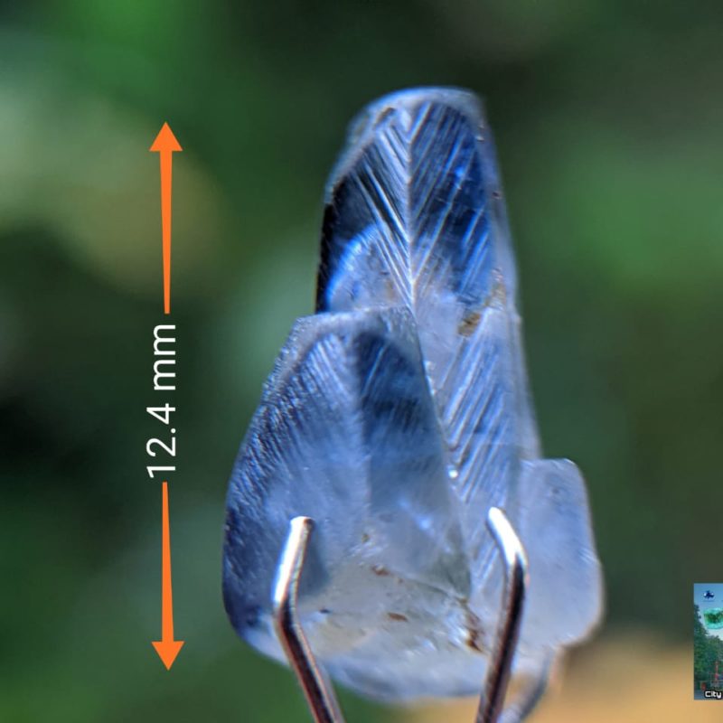 Ceylon Natural Heating Sapphire "ottu" Twin Crystal with Special ...