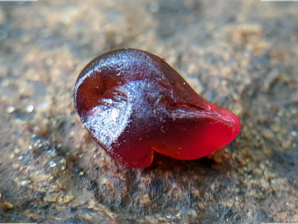 CEYLON NATURAL (ALMANDINE) SPESSARTITE GARNET ROUGH GEMSTONE ( SRI ...