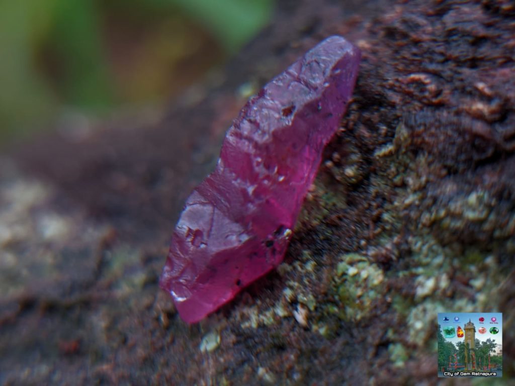 CEYLON NATURAL RARE RUBY CRYSTAL "SRI LANKAN RUBY"