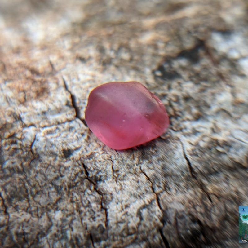 Ceylon Natural Ruby & Padparadscha Sapphire Rough Gemstones ( Sri ...