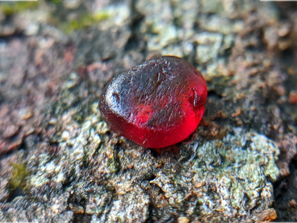 CEYLON NATURAL (ALMANDINE) SPESSARTITE GARNET ROUGH GEMSTONE ( SRI ...