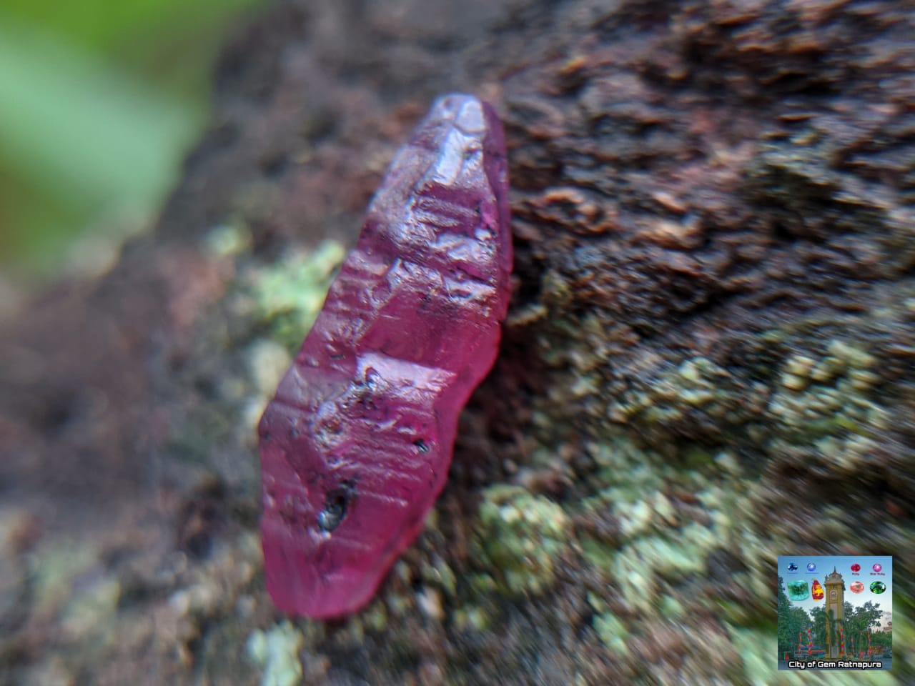 CEYLON NATURAL RARE RUBY CRYSTAL "SRI LANKAN RUBY"