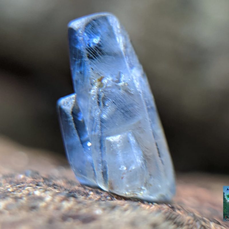 Ceylon Natural Heating Sapphire "ottu" Twin Crystal with Special ...