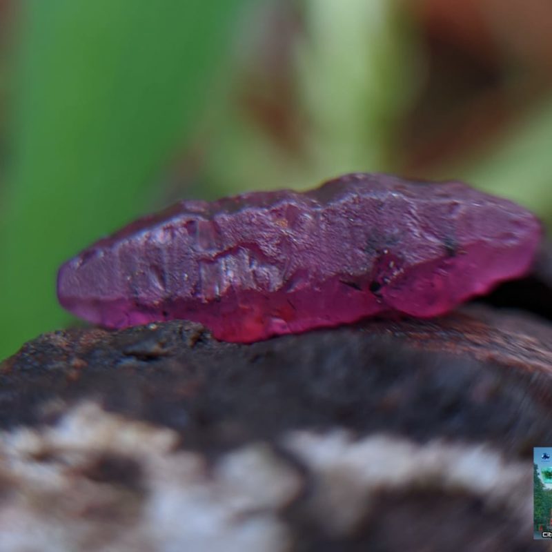 CEYLON NATURAL RARE RUBY CRYSTAL "SRI LANKAN RUBY"