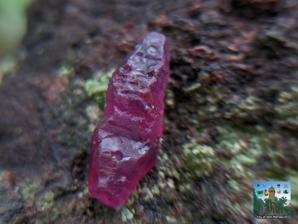 CEYLON NATURAL RARE RUBY CRYSTAL "SRI LANKAN RUBY"