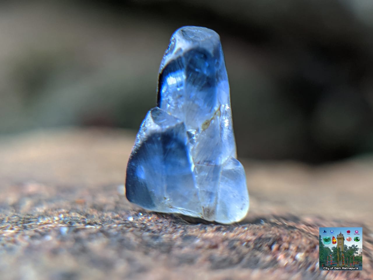Ceylon Natural Heating Sapphire "ottu" Twin Crystal with Special ...