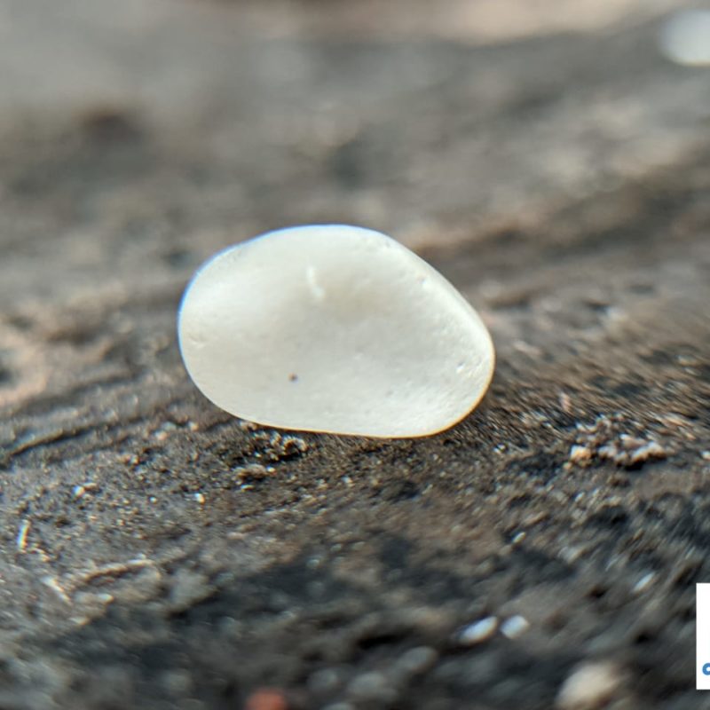 Natural White Sapphire Rough Gemstone ( Colourless Sapphire - Pure ...