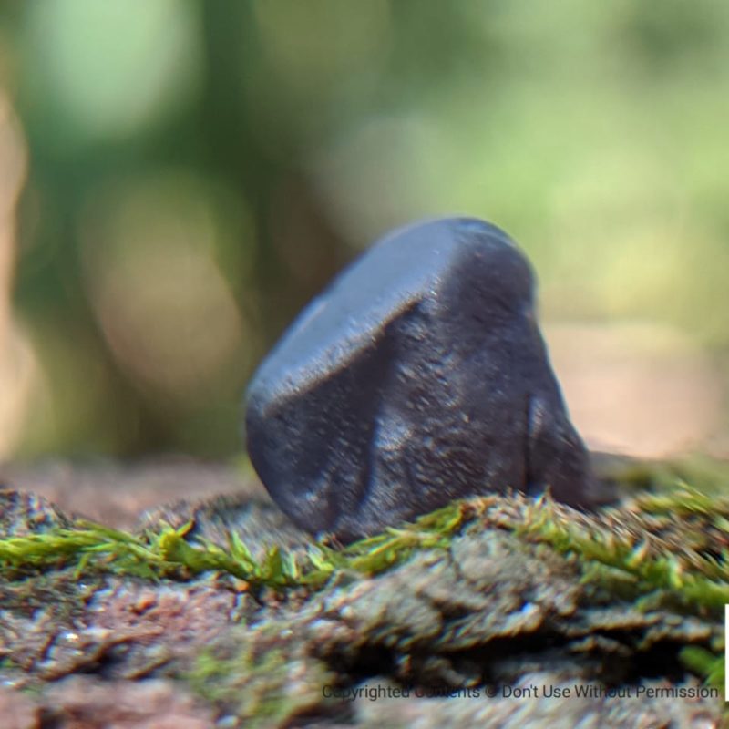 NATURAL HEATING SAPPHIRE ROUGH GEMSTONES ( Rathu Geuda ) -