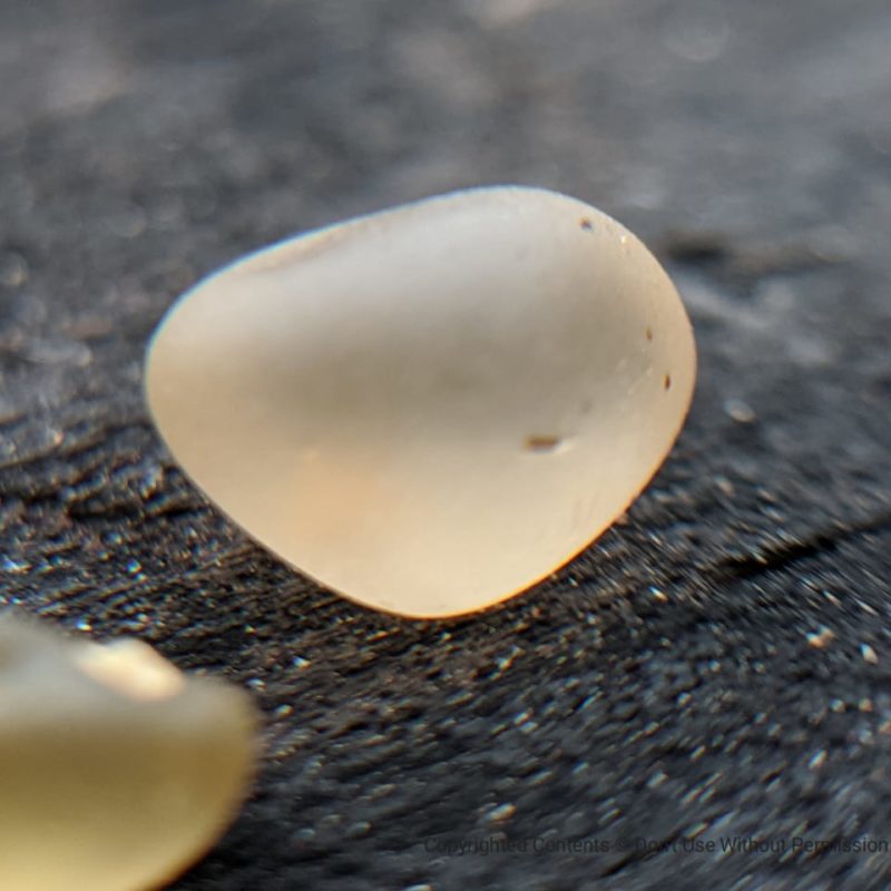 Ceylon Natural Sinhalite Rough Gemstones Lot