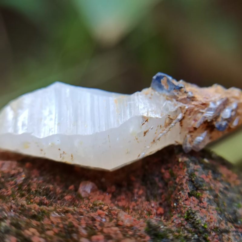 Ceylon Natural Double Terminated Unique Sapphire Milky Geuda Glass body ...