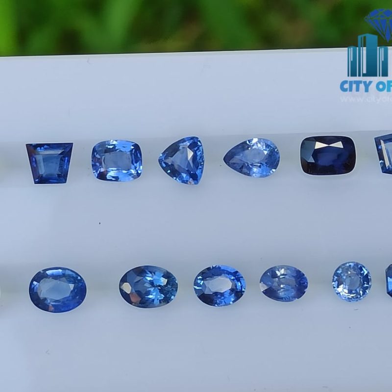 Ceylon Blue Sapphire Collection (H) - Mix Shapes