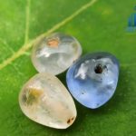 Ancient Natural Sapphire Necklace Beads from Sri Lanka 🇱🇰 "mukkaru ...