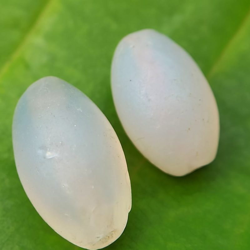 Ancient Necklace Beads from Sri Lanka "mukkaru stones"