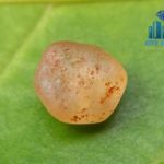 Ancient Necklace Beads from Sri Lanka "mukkaru stones"
