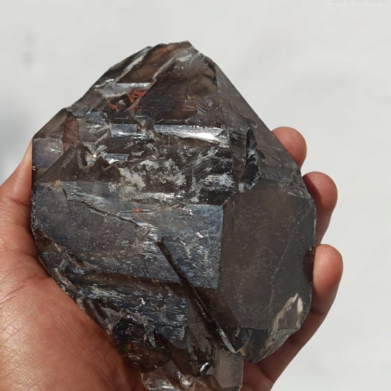 Ceylon Natural Enhydro Black Quartz Crystal - Visible moving gass bubble