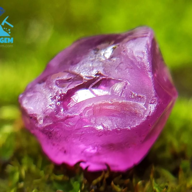 Ceylon Natural Facet Grade Rough Sapphire Collection with Colour ...