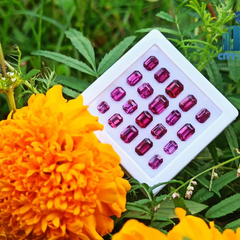 SRI LANKAN ELAHERA GARNET FACETED OCTAGON COLLECTION