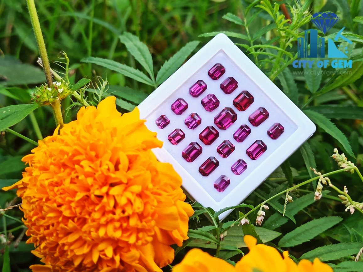 SRI LANKAN ELAHERA GARNET FACETED OCTAGON COLLECTION