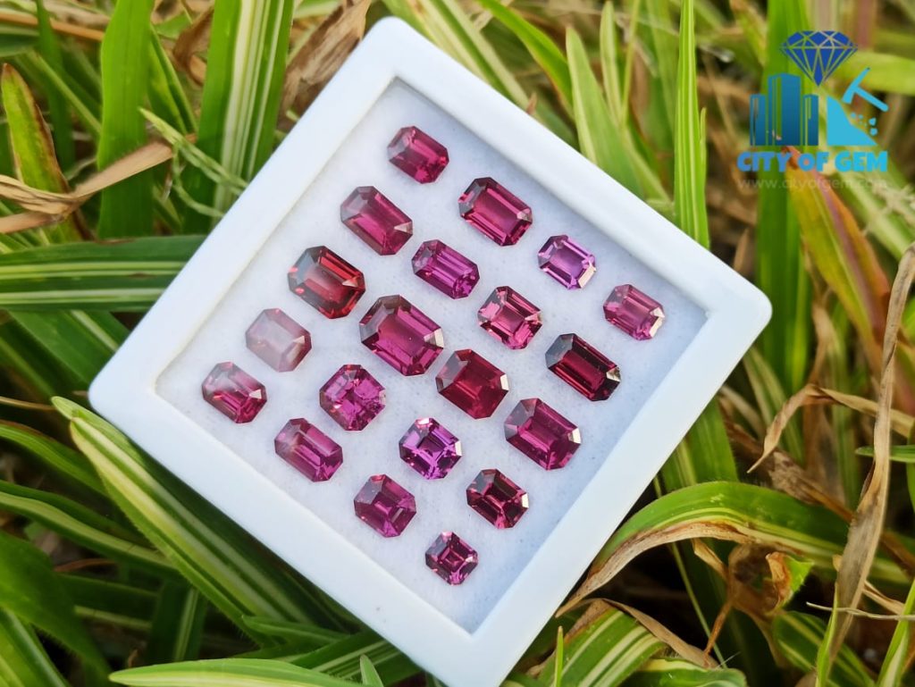 SRI LANKAN ELAHERA GARNET FACETED OCTAGON COLLECTION