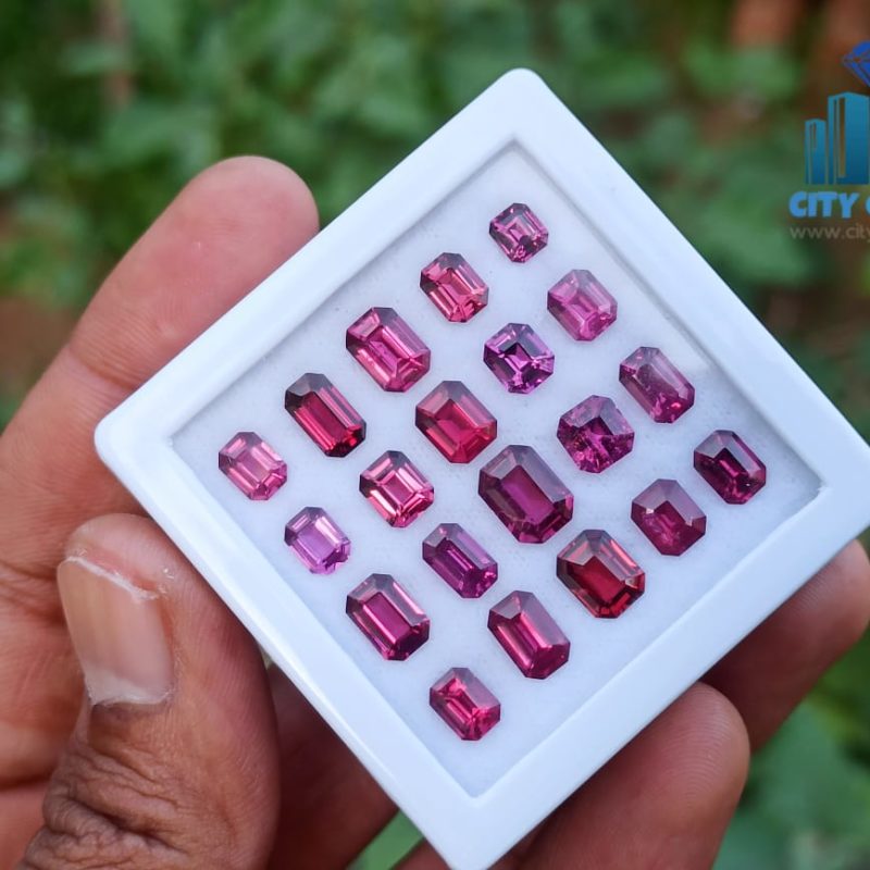 SRI LANKAN ELAHERA GARNET FACETED OCTAGON COLLECTION