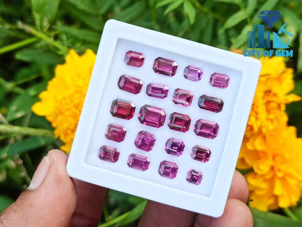 SRI LANKAN ELAHERA GARNET FACETED OCTAGON COLLECTION