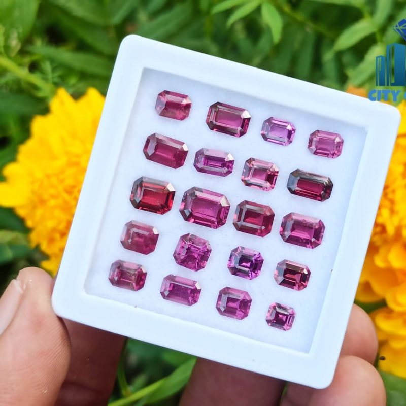 SRI LANKAN ELAHERA GARNET FACETED OCTAGON COLLECTION
