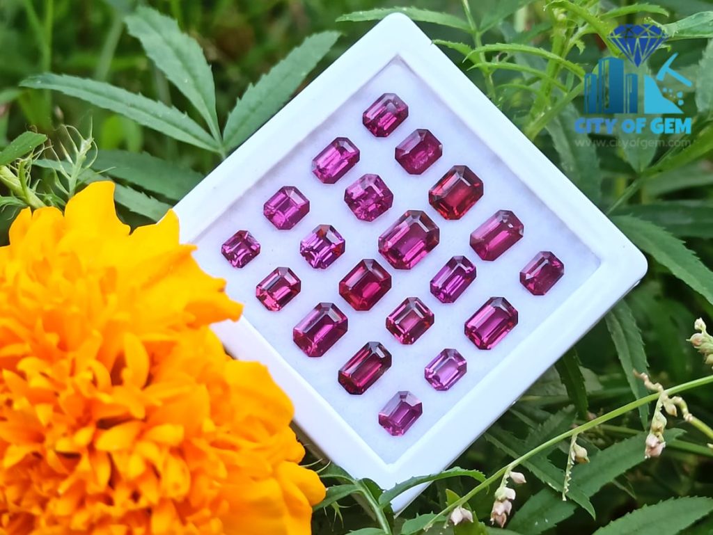 SRI LANKAN ELAHERA GARNET FACETED OCTAGON COLLECTION