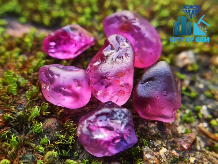 Ceylon Natural Rough Sapphire Mix Color Collection from City of Gem