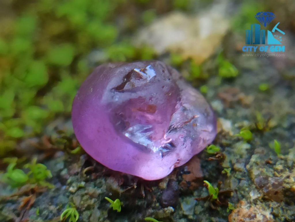 Ceylon Natural Rough Sapphire Mix Color Collection from City of Gem