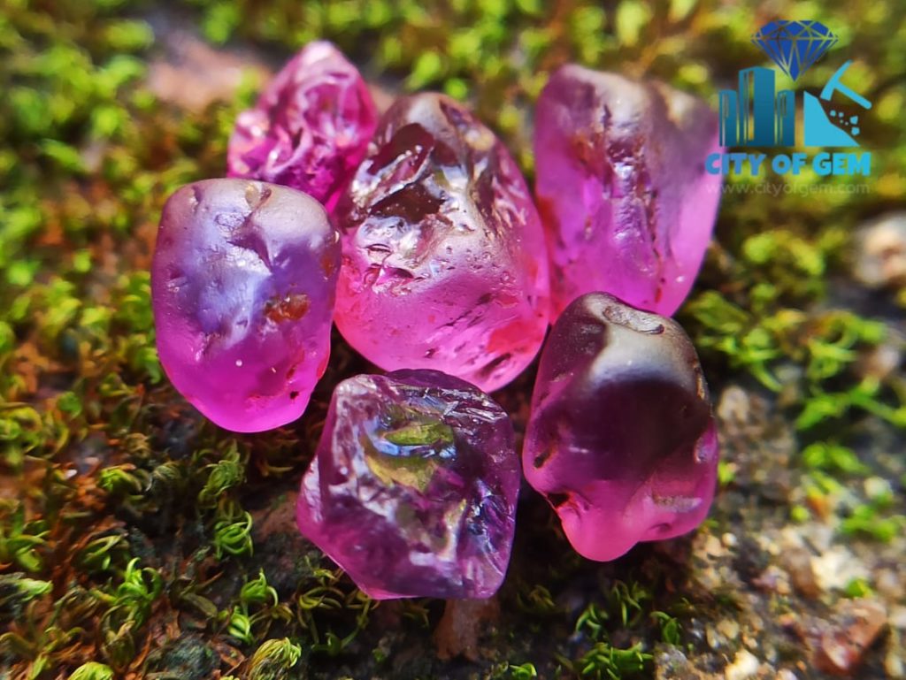 Ceylon Natural Rough Sapphire Mix Color Collection from City of Gem