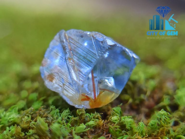 Ceylon Natural Rough Sapphire Mix Color Collection from City of Gem