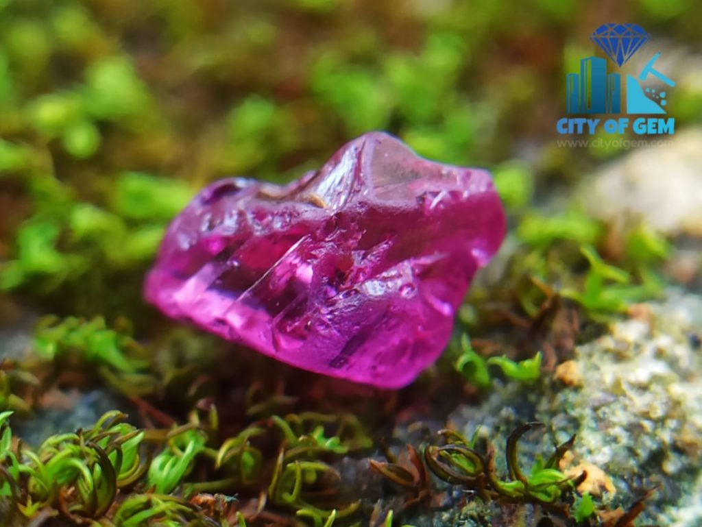 Ceylon Natural Rough Sapphire Mix Color Collection from City of Gem