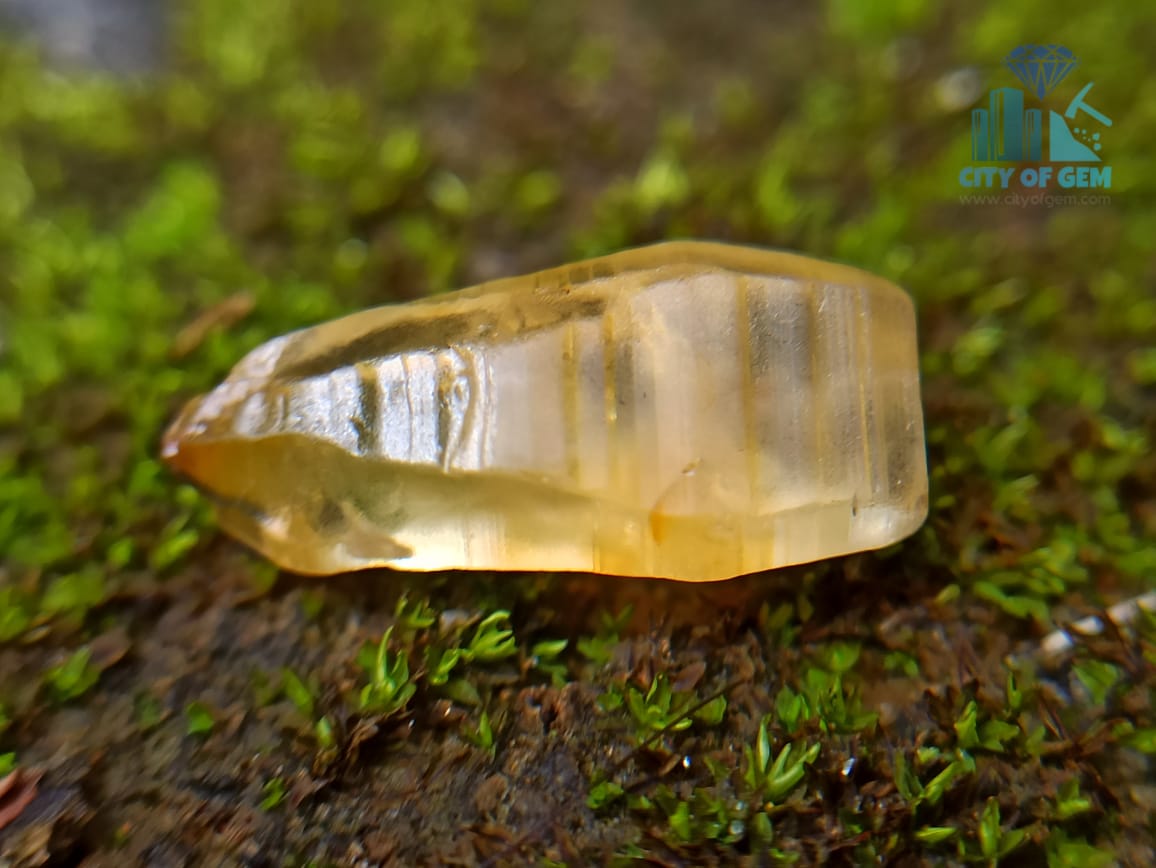 Ceylon Natural Yellow Sapphire Excellent Transparent Crystal Couple