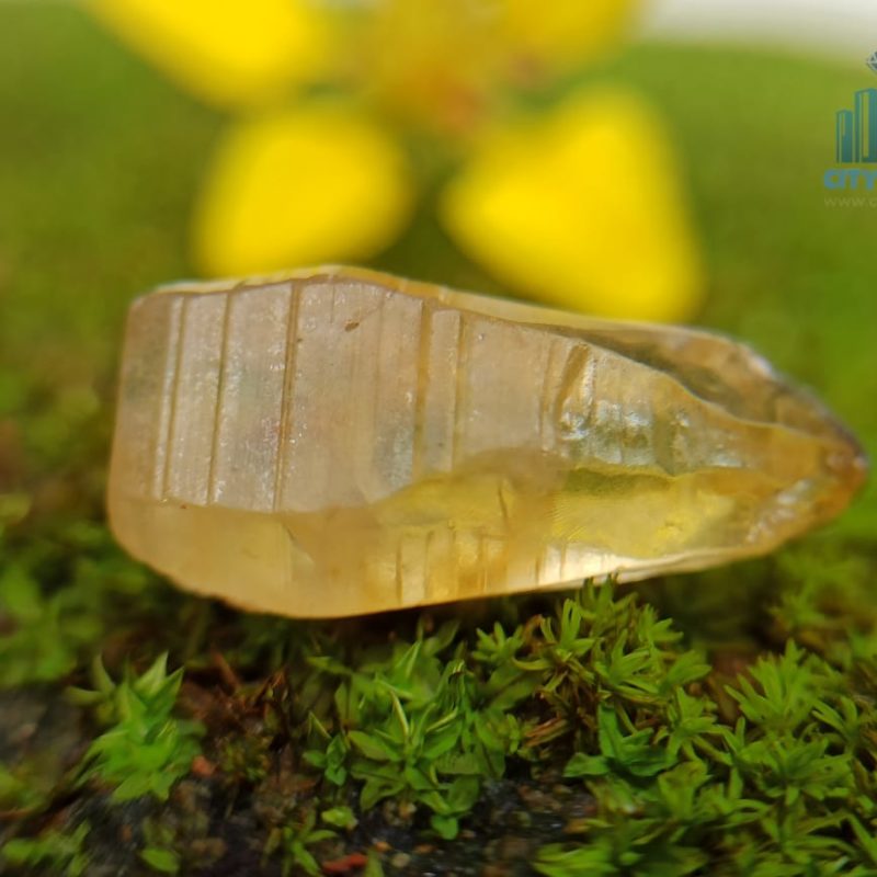 Ceylon Natural Yellow Sapphire Excellent Transparent Crystal Couple