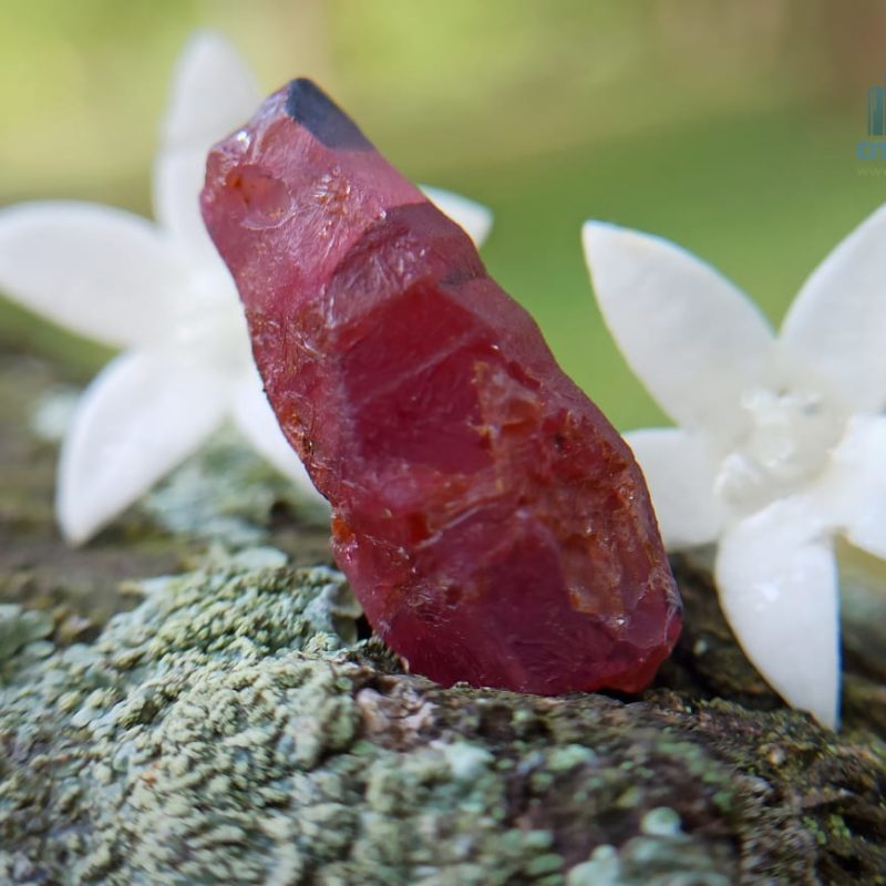 Natural Ruby Crystal from Kolonna Mining, Sri Lanka - Corundum Crystal
