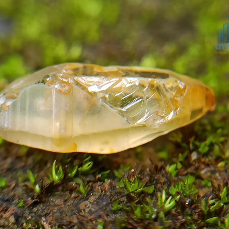 Ceylon Natural Yellow Sapphire Excellent Transparent Crystal Couple