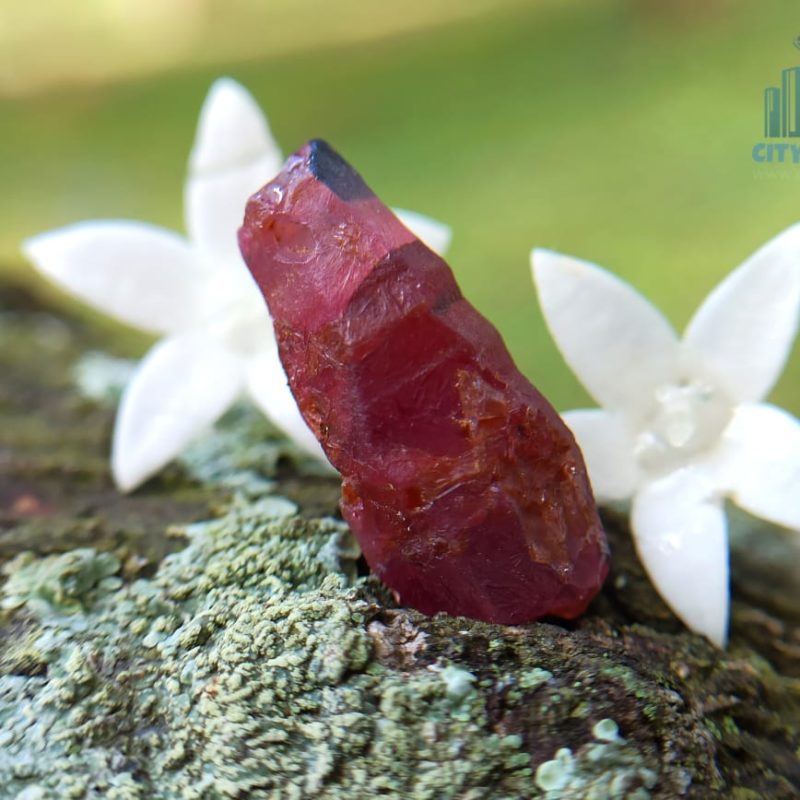 Natural Ruby Crystal from Kolonna Mining, Sri Lanka - Corundum Crystal