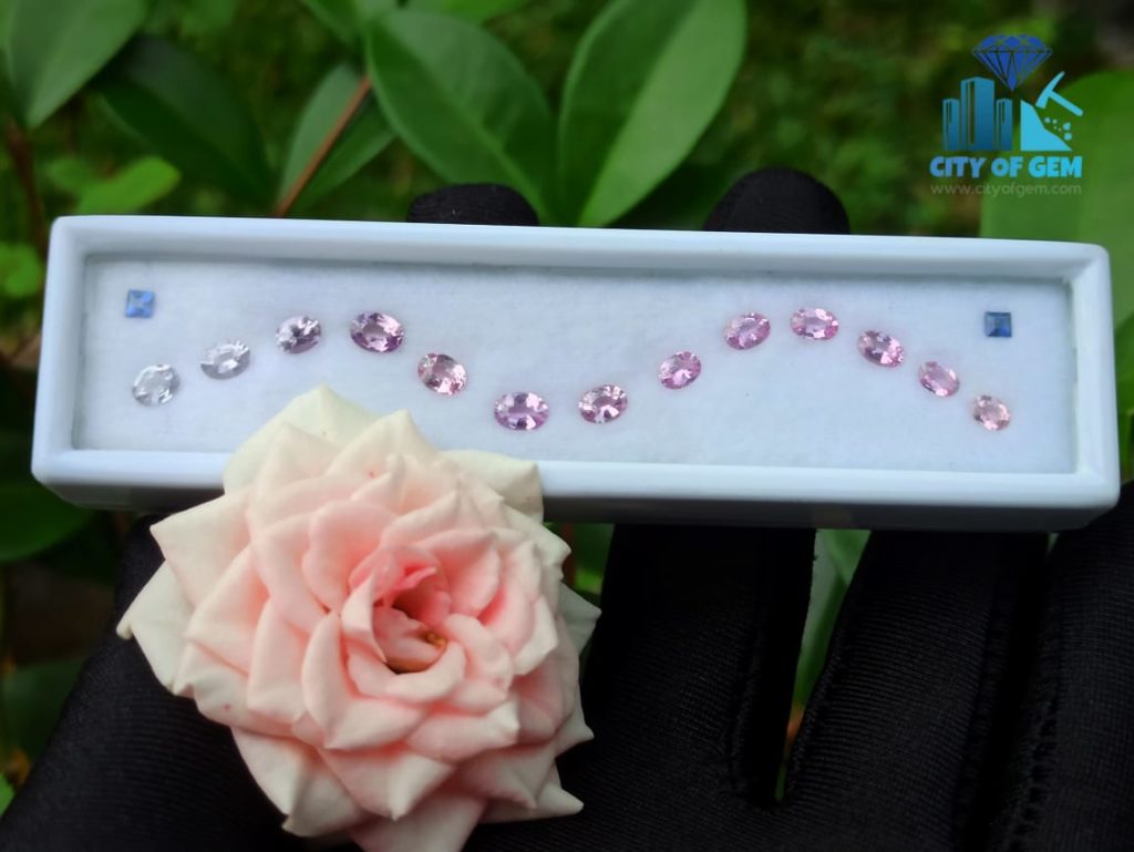 Ceylon Pink Sapphire with Blue Sapphire Faceted Gemstones Collection
