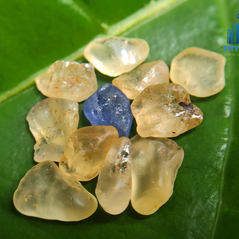 Facet Grade Ceylon Natural Yellow Sapphire Collection with Blue Sapphire